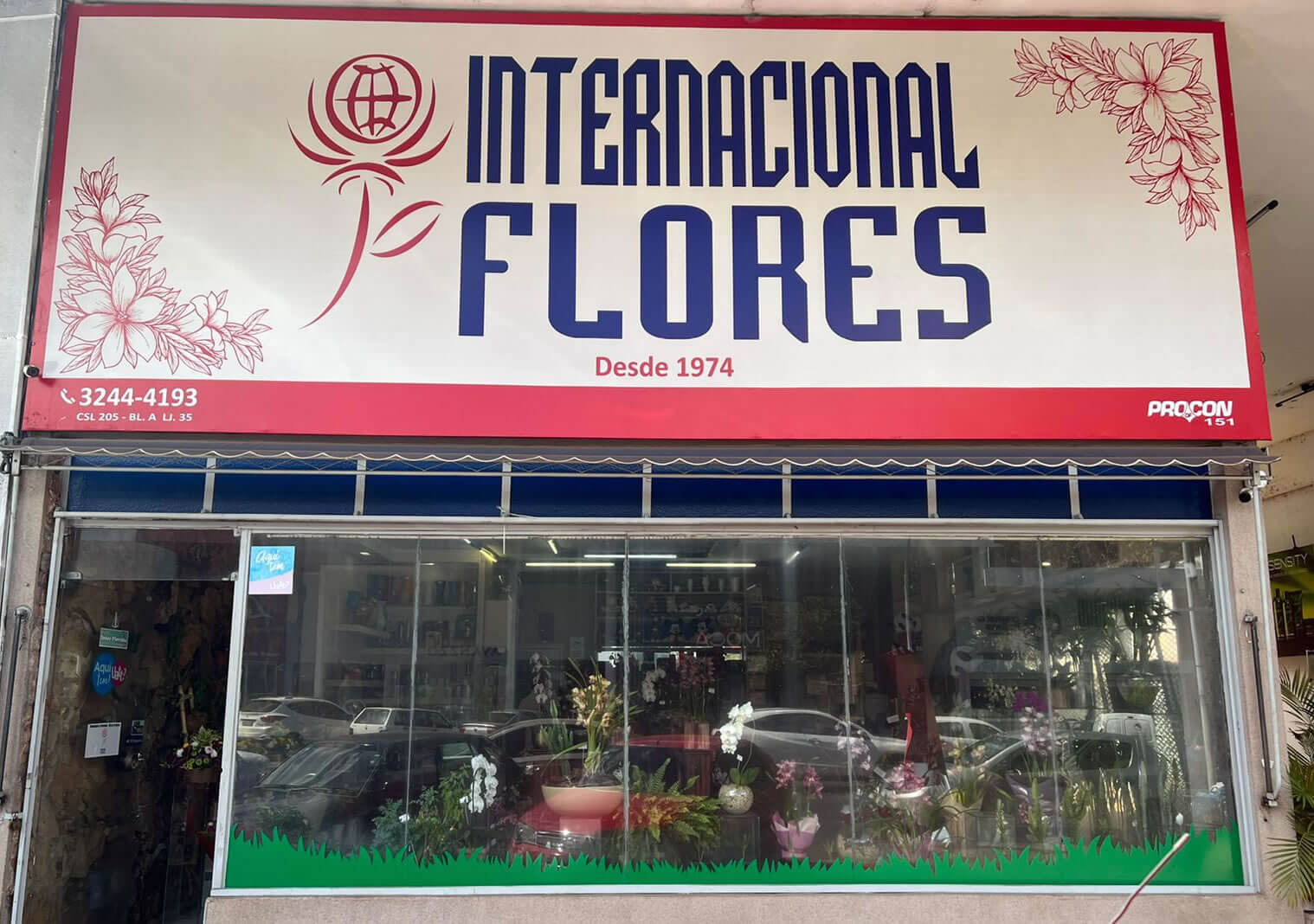 Floricultura Asa Norte: Pedido Online - Internacional Flores
